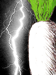 悪魔の安楽椅子: イブラシル暦684年2月